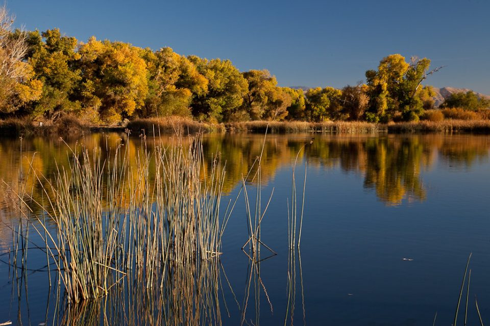 15 Best & Fun Things To Do In Victorville (CA) | Travel Around