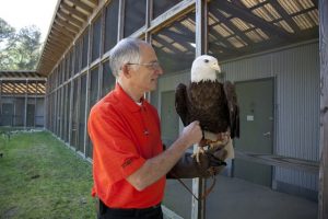 16 Best & Fun Things To Do In Auburn (Alabama) | Travel Around