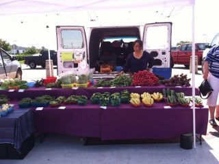 21 Best & Fun Things To Do In Springdale (AR) | Travel Around