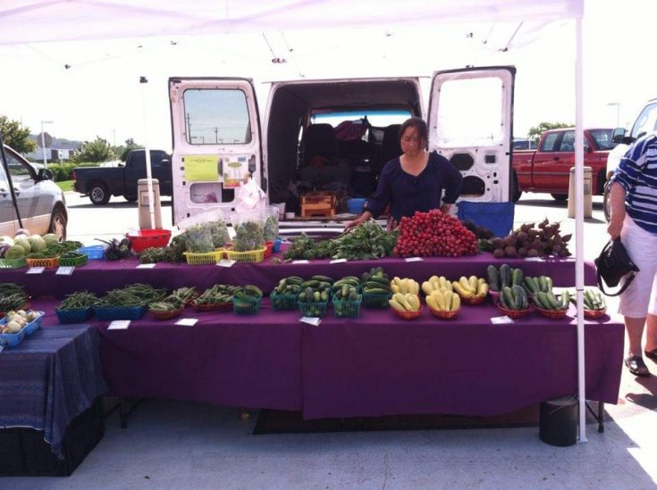 21 Best & Fun Things To Do In Springdale (AR) | Travel Around