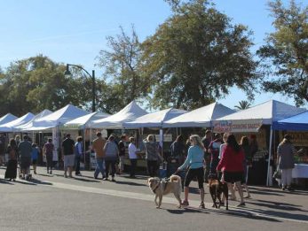 25 Fun & Best Things to Do in Gilbert (Arizona) | Travel Around