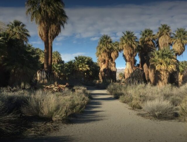 24 Best & Fun Things To Do In Palm Desert (CA) | Travel Around