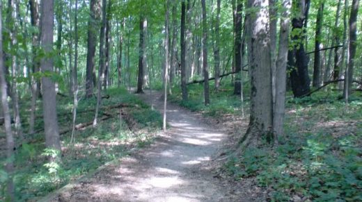 20 Best & Fun Things To Do In Fishers (Indiana) | Travel Around