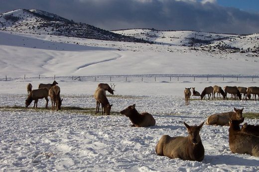 27 Best & Fun Things To Do In Logan (Utah) | Travel Around