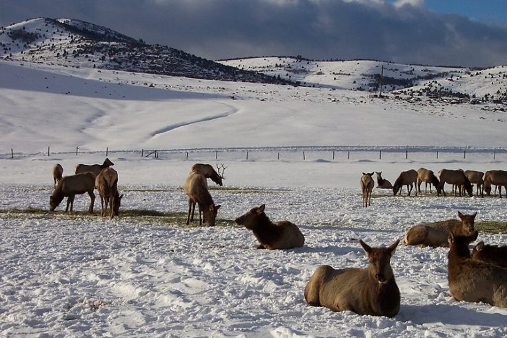 27 Best & Fun Things To Do In Logan (Utah) | Travel Around