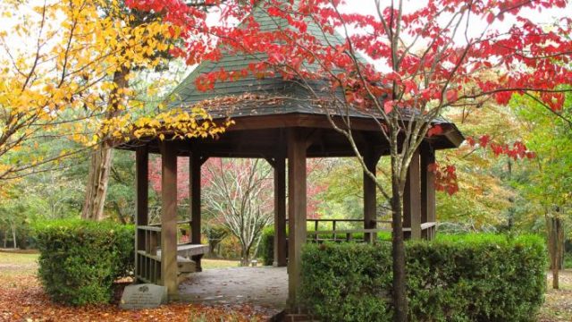 25 Best & Fun Things To Do In Augusta (Georgia) | Travel Around