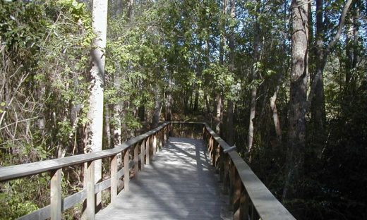 30 Best & Fun Things To Do In Fayetteville (NC) | Travel Around