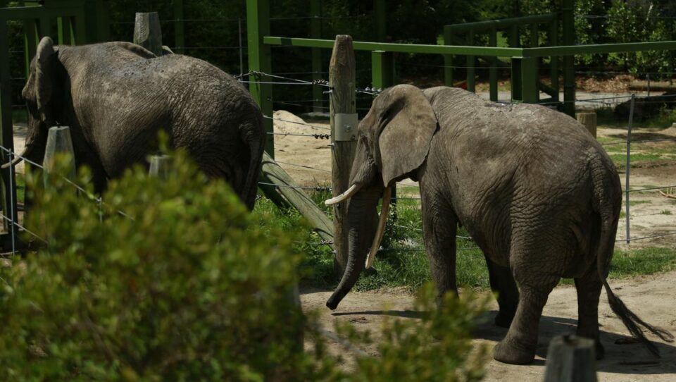 22 Delightful Things To Do In Norfolk (Virginia) | Travel Around