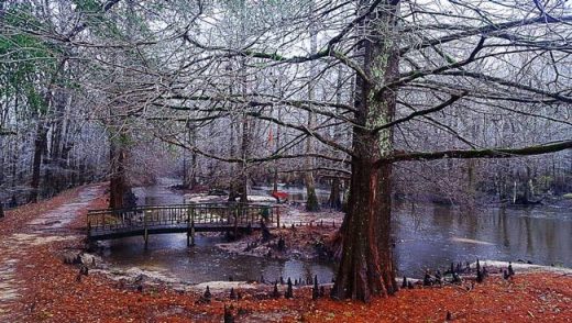 18 Best & Fun Things To Do In Florence (South Carolina) | Travel Around