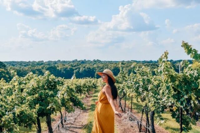 20 Best & Fun Things To Do In Tyler (Texas) | Travel Around