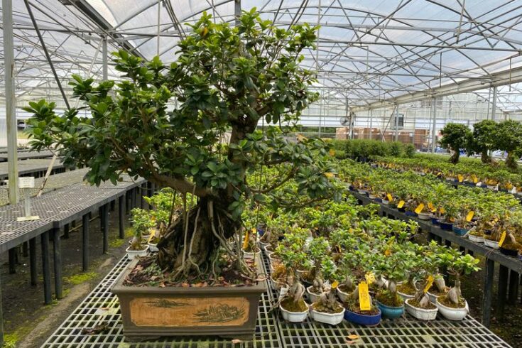 40 Best & Fun Things To Do In Mississippi | Travel Around