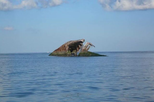 26 Unique & Fun Things to Do in Cape May (New Jersey)