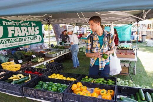 28 of the Most Fun Things To Do In Tempe (Arizona) | Travel Around