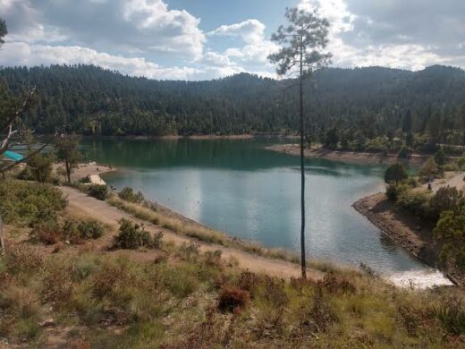 20 Best & Fun Things To Do In Ruidoso (New Mexico)