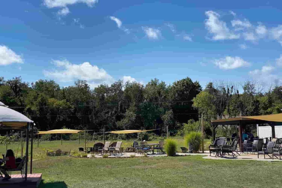 25 Best & Fun Things To Do In South Haven (Michigan) | Travel Around