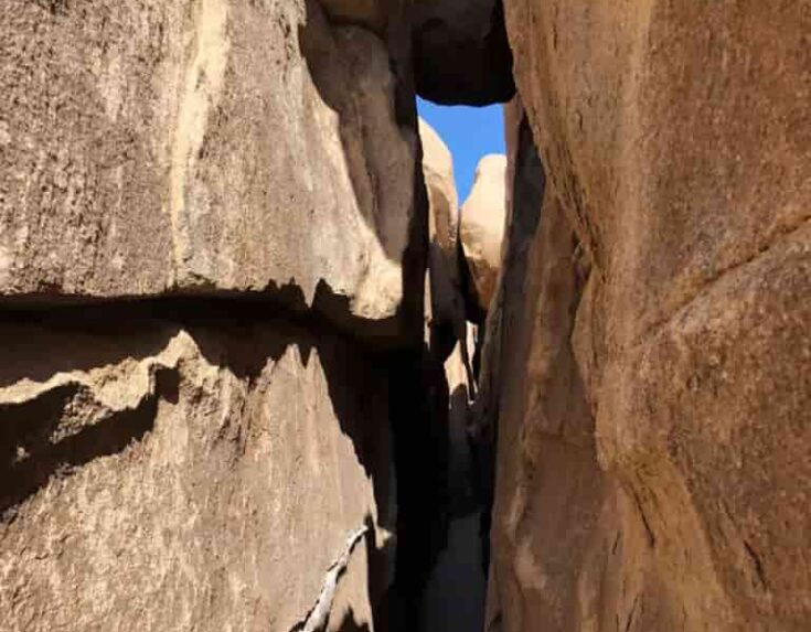 24 Best & Fun Things To Do In Joshua Tree ( CA) Travel Around