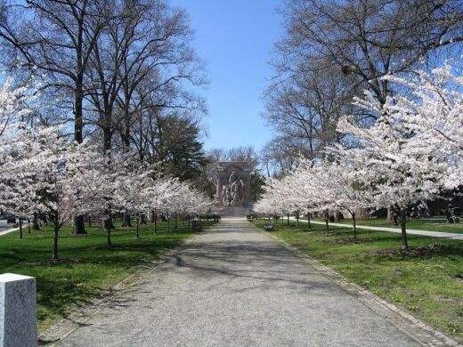 27 Best & Fun Things To Do In Princeton (New Jersey) | Travel Around