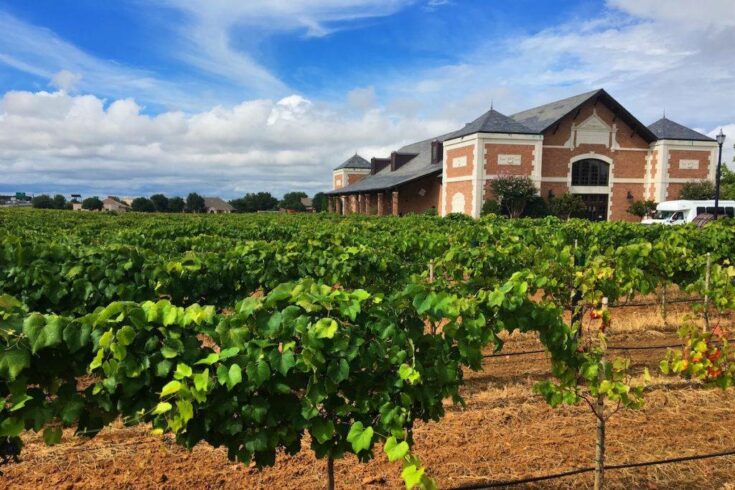 15 Best & Most Fun Things to Do in Grapevine (Texas)