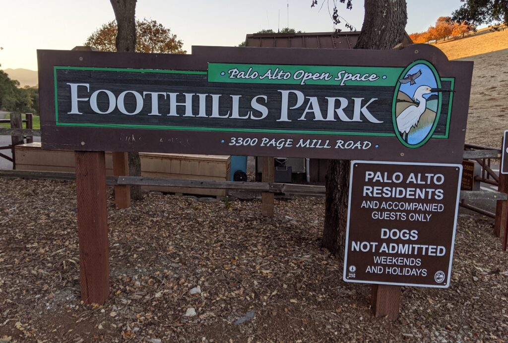 15 Best Things To Do In Palo Alto CA You Shouldn't Miss