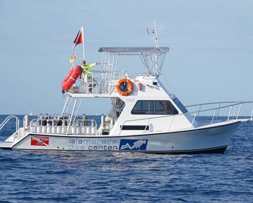 22 Best & Fun Things To Do In Islamorada (Florida)