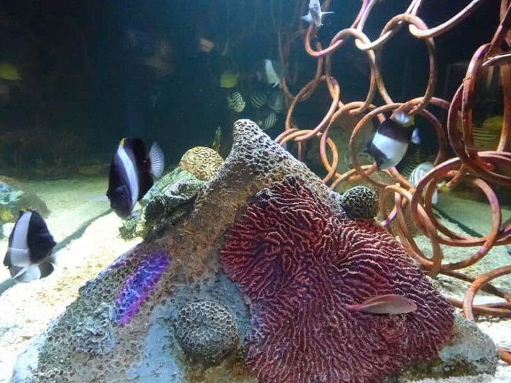 32 Delightful Things to Do in Myrtle Beach (South Carolina)