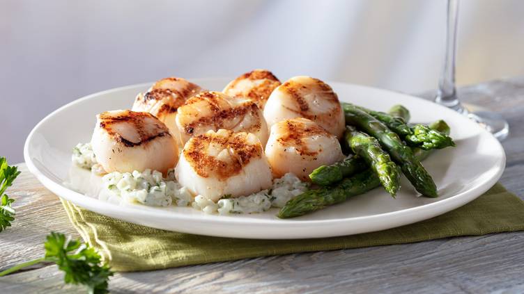 20 Best Restaurants in Princeton New Jersey (For First Timer!)