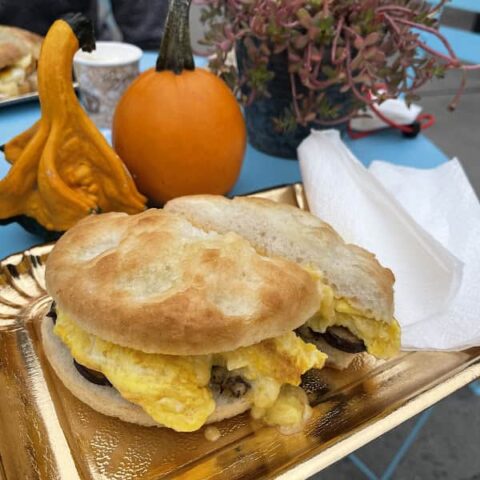 20 Best Restaurants in Princeton New Jersey (For First Timer!)