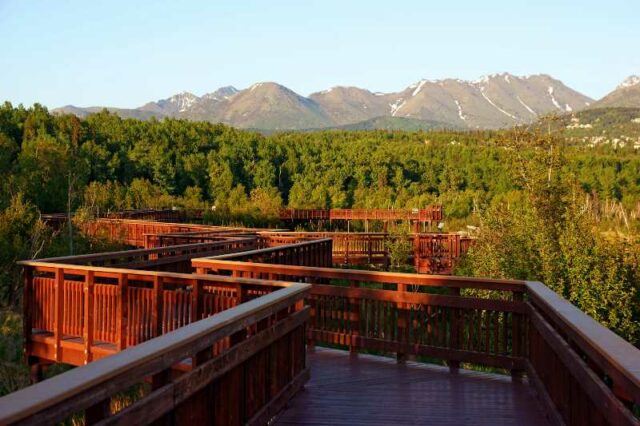 36 Delightful & Unusual Things to Do in Anchorage (Alaska)