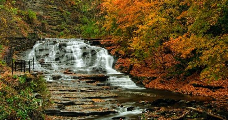25 Best & Fun Things to Do in Ithaca NY You Shouldn't Miss