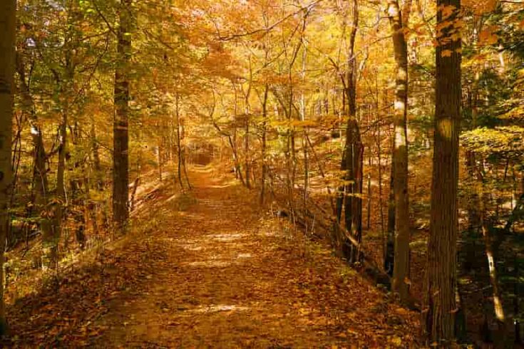 23 Unique & Fun Things to do in Saugatuck (Michigan)