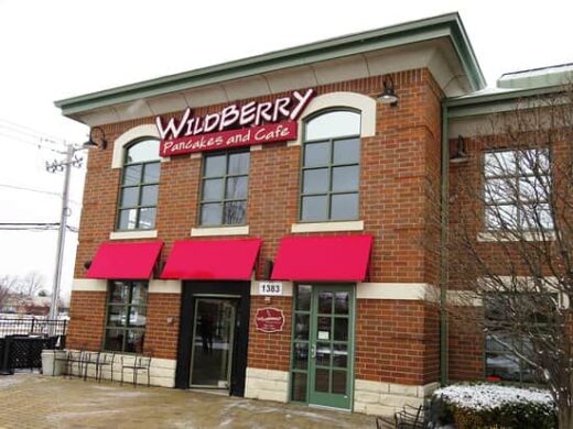 23 Best Restaurants in Schaumburg IL to Visit (For First Timer!)