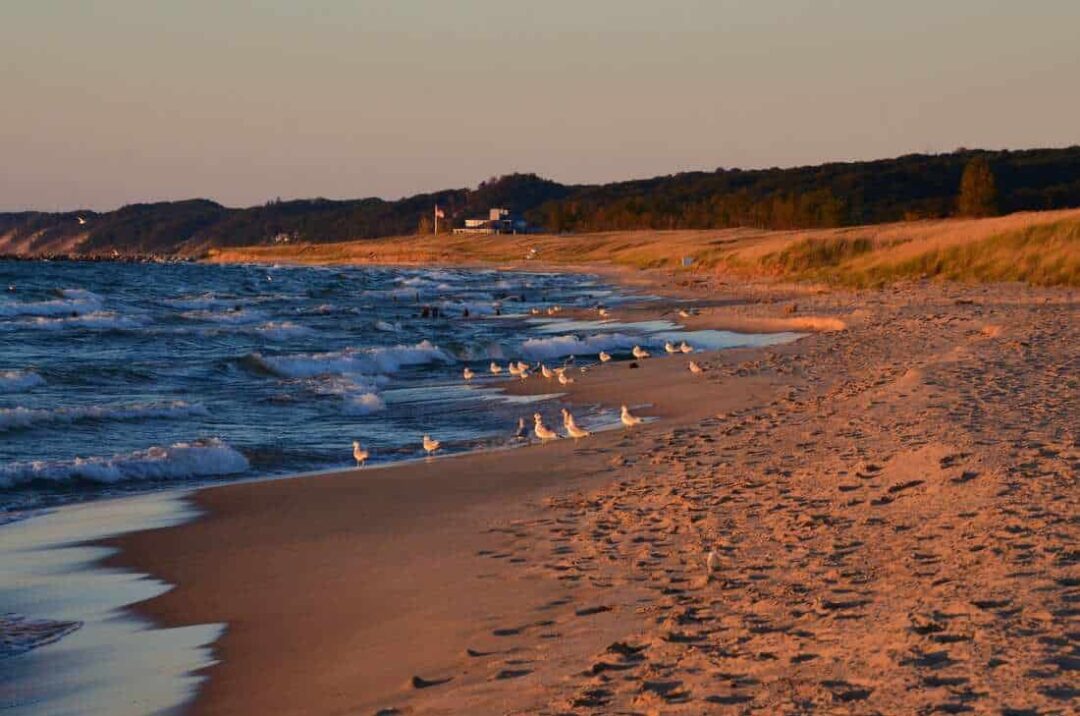 23 Unique & Fun Things to do in Saugatuck (Michigan)