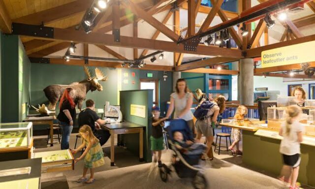 50 Unique & Fun Things to Do in Vermont: Best VT Bucket List