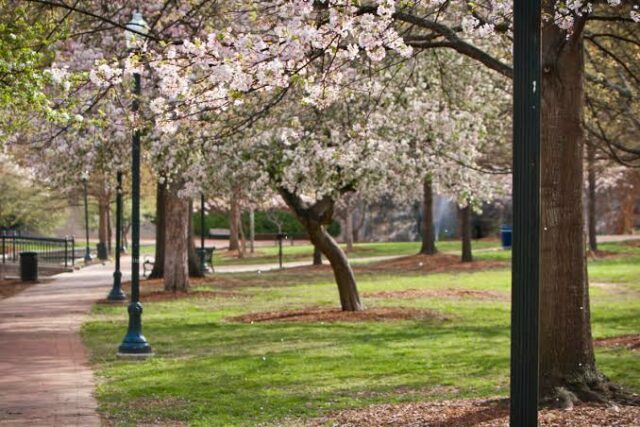 29 Unique & Fun Things to Do in Huntsville (Alabama)