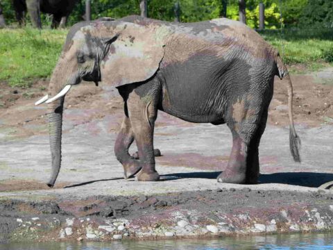 31 Unique & Fun Things to Do in Indianapolis (Indiana)