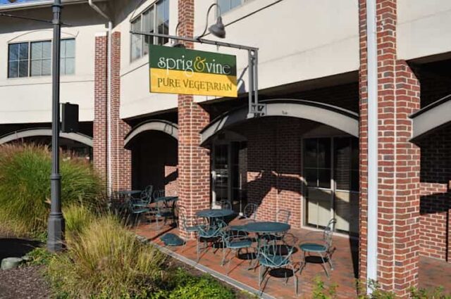 24 Best Restaurants in New Hope PA (For First Timers!)